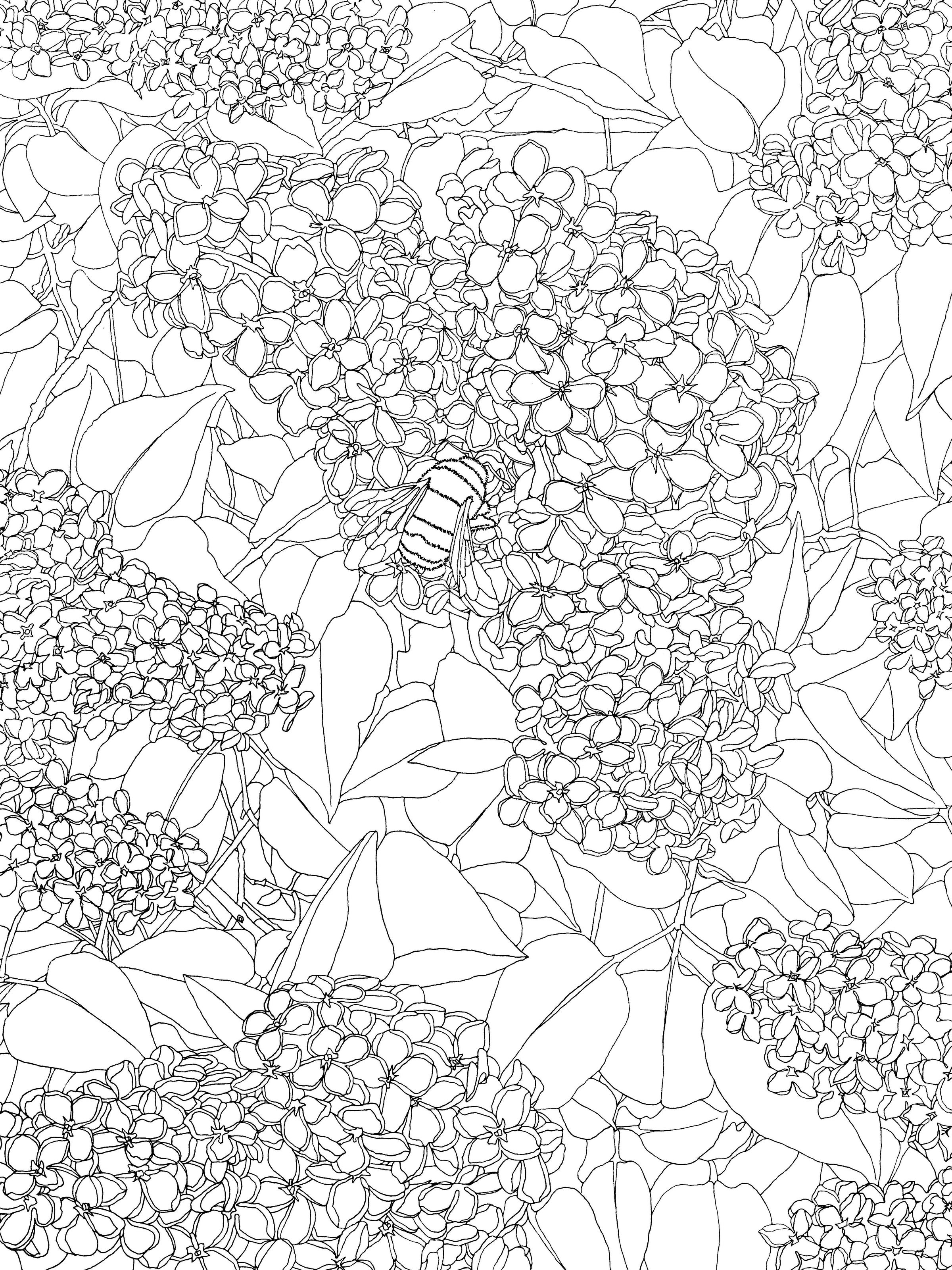 hudson taylor coloring page